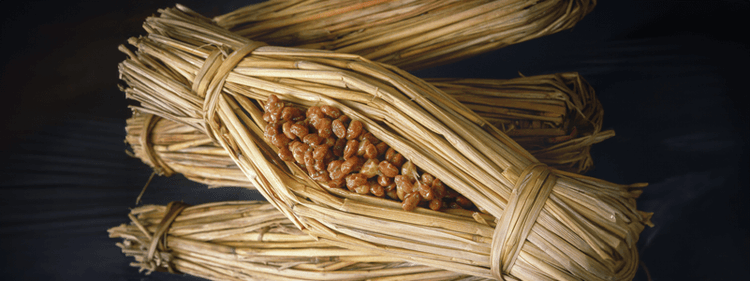 Nattokinase | Health Benefits and Uses of Nattokinase - Xtendlife